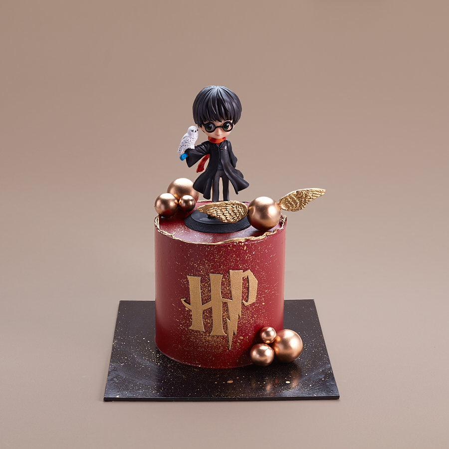 Harry Potter Cake - Dulcet Cakes & Sweets